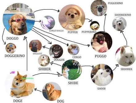 Doggo Types | WTHPedia Wiki | Fandom
