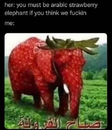 Strawberry Elephant/Galería de Imágenes | Memespedia | Fandom