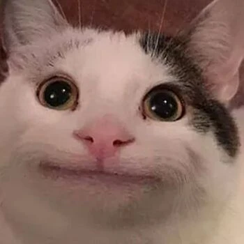 Meme De Gato Muy Emocionado