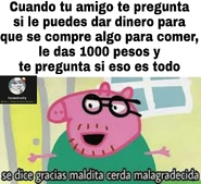 Se dice gracias, maldita cerda malagradecida | Memespedia | Fandom