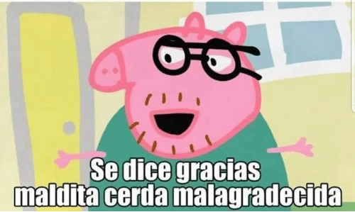 Se dice gracias, maldita cerda malagradecida | Memespedia | Fandom
