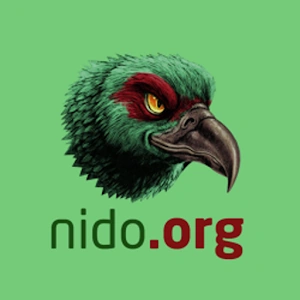 Nido org | Memespedia | Fandom