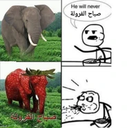 Strawberry Elephant/Galería de Imágenes | Memespedia | Fandom