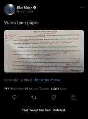 Mario, the Idea vs. Mario, the Man | Memespedia | Fandom