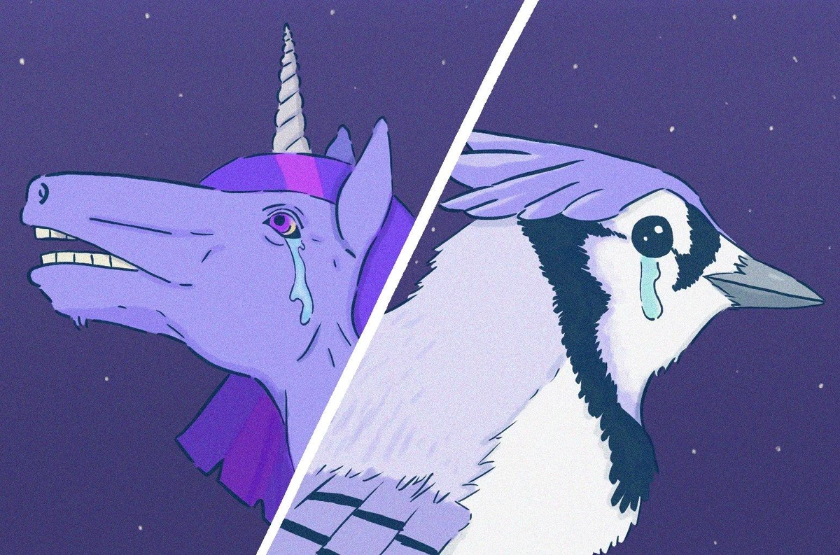 MordeTwi/Galería de Imágenes | Memespedia | Fandom