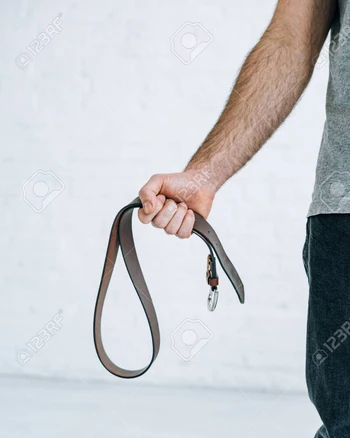 The Belt | Memeverse: The Card Game Wiki | Fandom