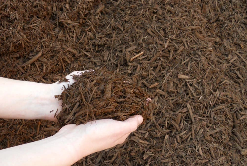 Mulch | Memeverse: The Card Game Wiki | Fandom