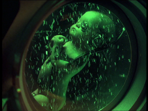 Borg | Memory Alpha | Fandom