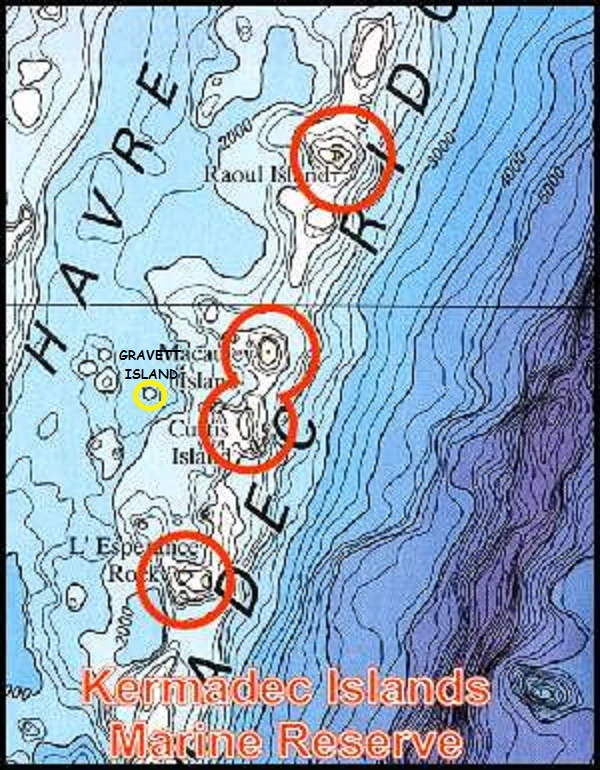 Gravett Island | Memory Gamma | Fandom