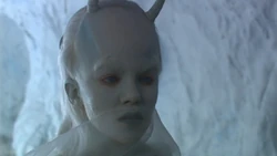 Vlidassian Drod | Memory Gamma | Fandom