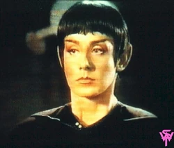 Selar | Memory Gamma | Fandom