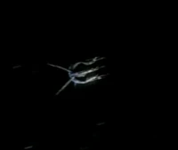 Oracle drone | Memory Gamma | Fandom