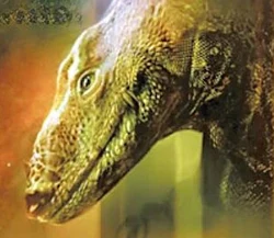 Naahiv Ribak Kiv Soo | Memory Gamma | Fandom