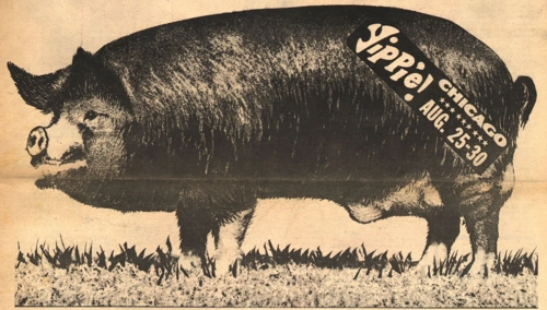 Pigasus John Pig | Memory Gamma | Fandom