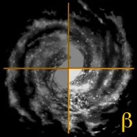 Beta Quadrant | Memory Gamma | Fandom