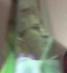 Taylor | Memory Gamma | Fandom