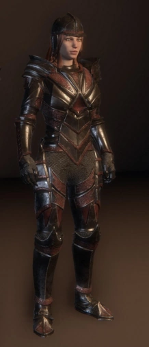 Valaran Armour | Memory of Eldurim Wiki | Fandom