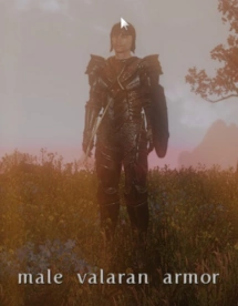 Valaran Armour | Memory of Eldurim Wiki | Fandom