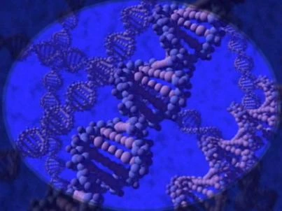 DNA | Memory Alpha | Fandom