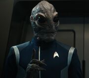 Linus | Memory Alpha | Fandom