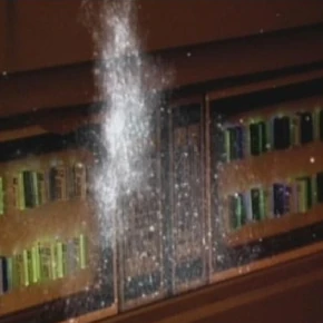 Nitrium parasite | Memory Alpha | Fandom