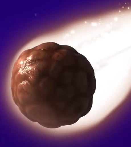 Meatball asteroid | Memory Alpha | Fandom