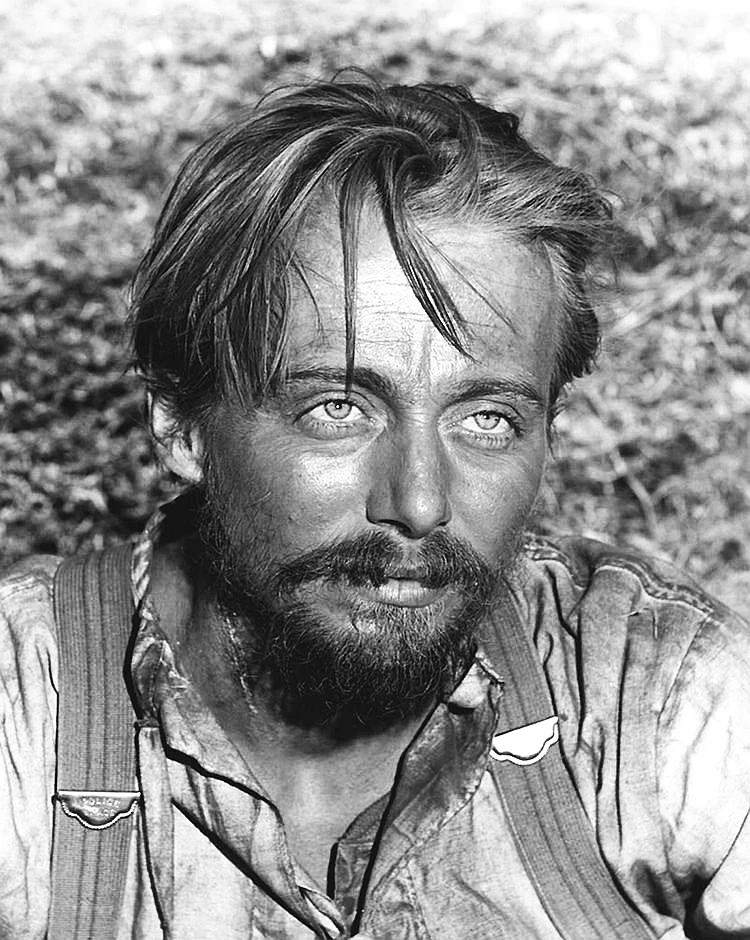 John Davis Chandler | Memory Alpha | Fandom