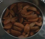 Zilm'kach | Memory Alpha | Fandom