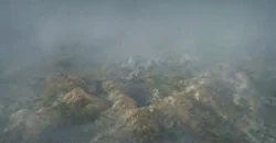 Coridan (planeet) | Memory Alpha | Fandom