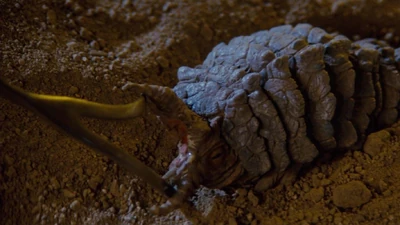 Discuss Everything About Memory Alpha | Fandom