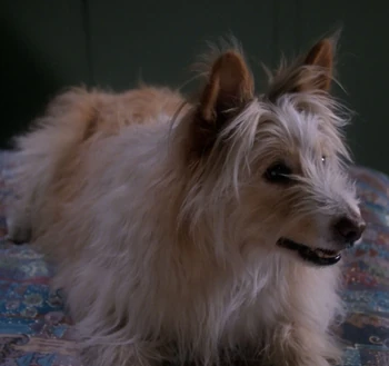 Maura | Memory Alpha | Fandom