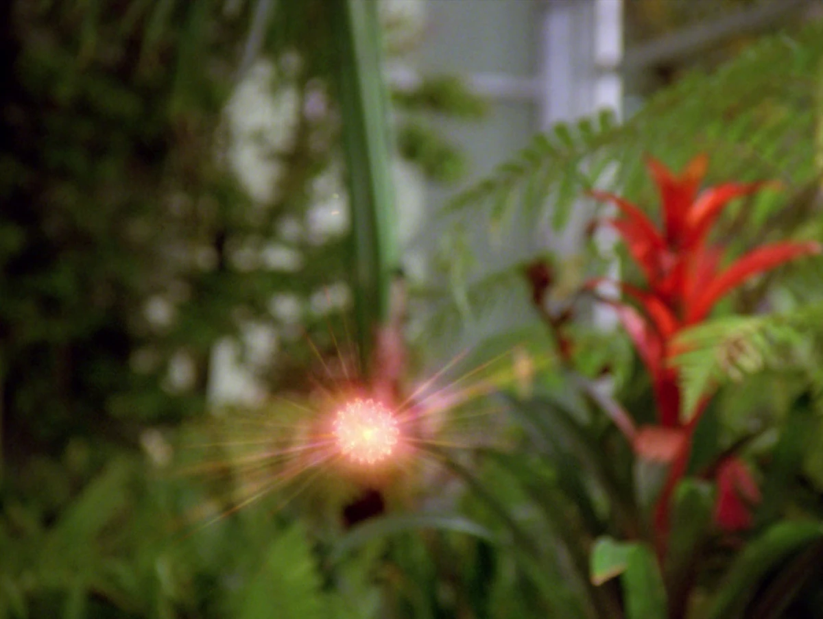 FGC 47 lifeform | Memory Alpha | Fandom