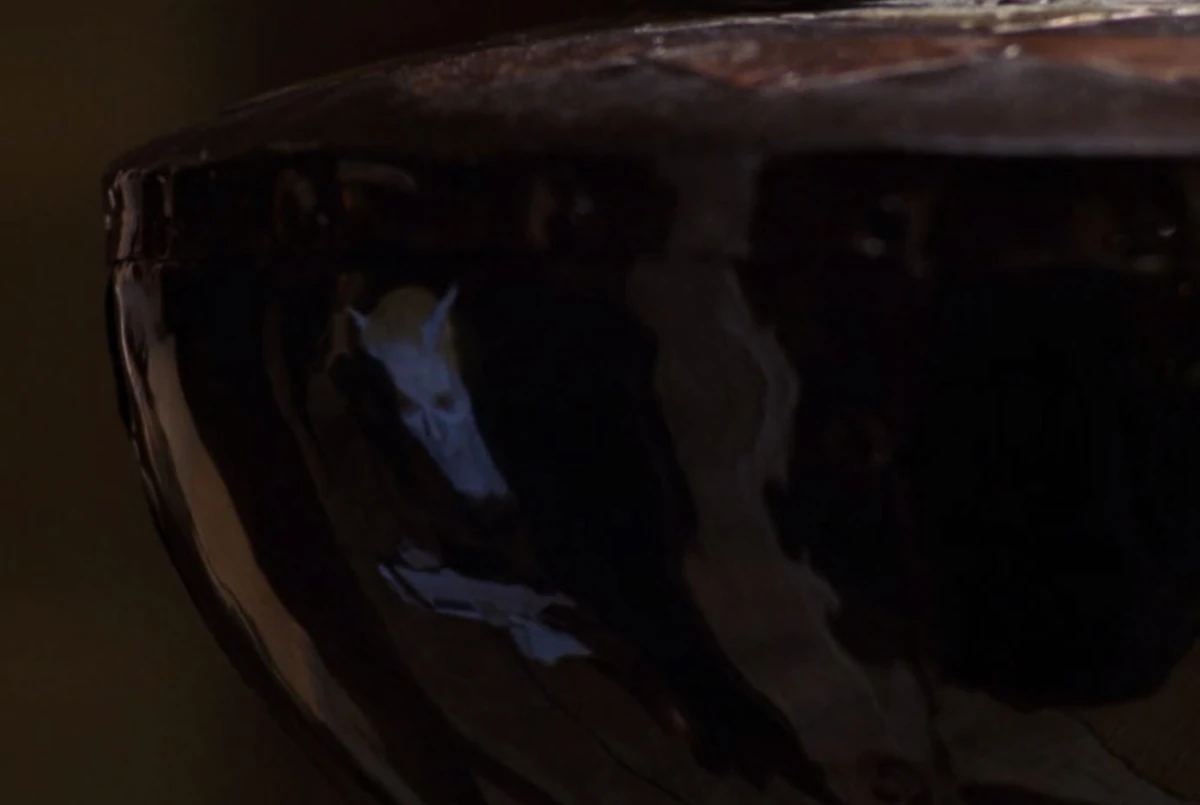 Urn | Memory Alpha | Fandom