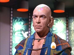 Tiburonian | Memory Alpha | Fandom