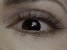 Betazoides | Memory Alpha | Fandom