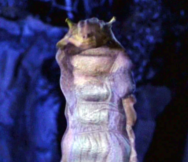 Wraith | Memory Alpha | Fandom