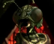 Xindi | Memory Alpha, das Star-Trek-Wiki | Fandom