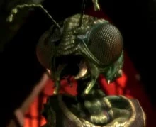 Xindi-Insektoid | Memory Alpha, das Star-Trek-Wiki | Fandom