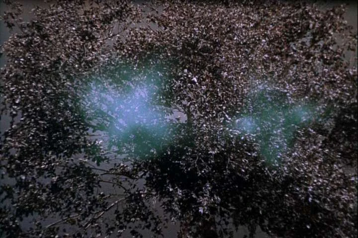 Bart La Rue | Memory Alpha | Fandom