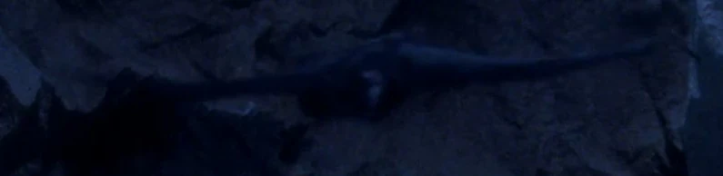 Lynar | Memory Alpha, das Star-Trek-Wiki | Fandom