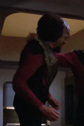 Wayne King, Sr. | Memory Alpha | Fandom