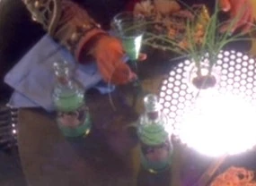 Slug-o-Cola | Memory Alpha | Fandom