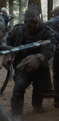 Hider | Memory Alpha | Fandom