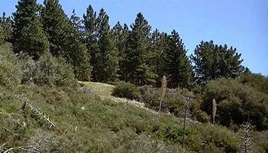 Montana | Memory Alpha | Fandom