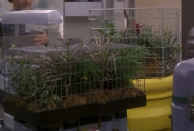 Cage | Memory Alpha | Fandom