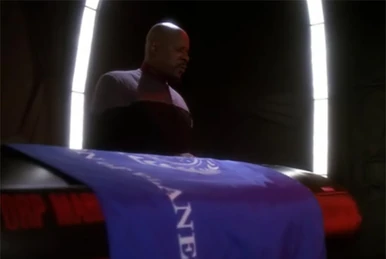 tiny ron taylor weight