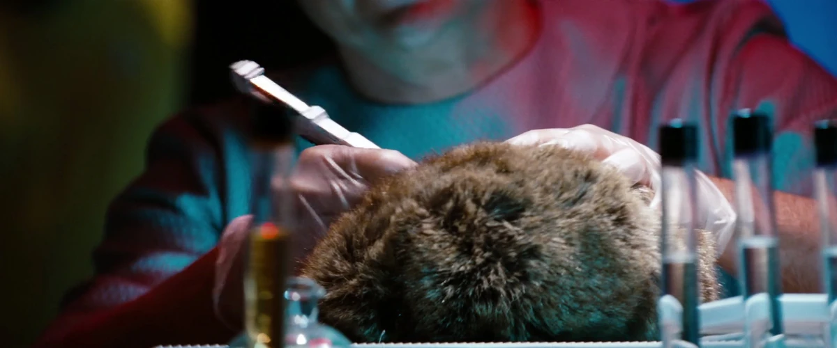 Lab animal | Memory Alpha | Fandom