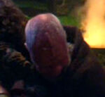Alien slave trader 1, Verex III