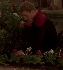 Richard Rothenberg | Memory Alpha | Fandom