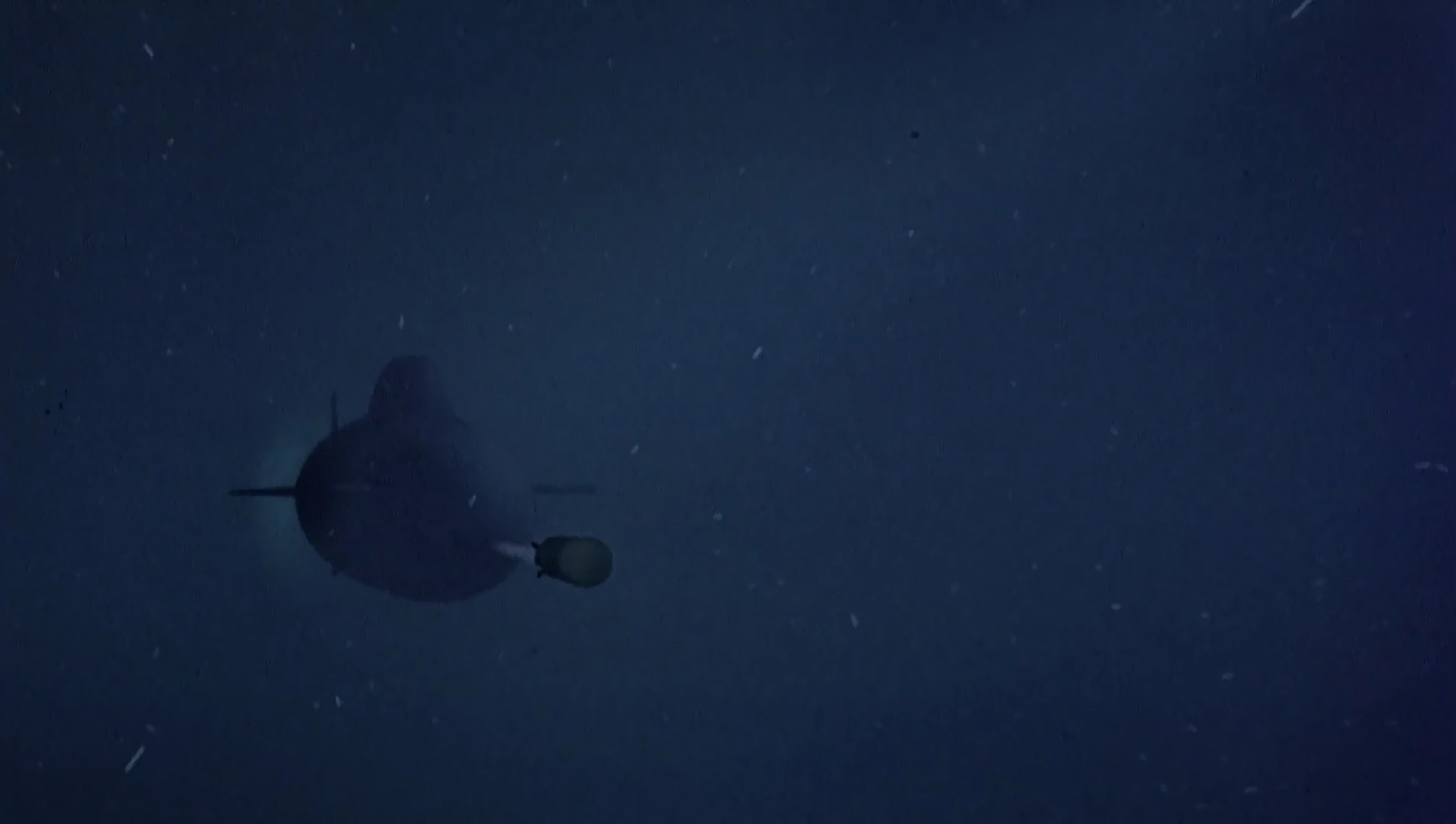 Project 705 | Memory Alpha | Fandom